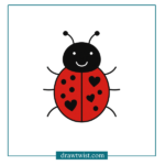 How to Draw a Beetle - drawtwist.com