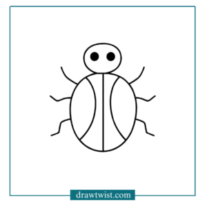 How to Draw a Beetle - drawtwist.com