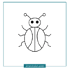 How to Draw a Beetle - drawtwist.com