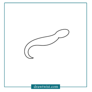 How to Draw a Lizard - Easy Drawing - drawtwist.com