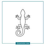 How to Draw a Lizard - Easy Drawing - drawtwist.com