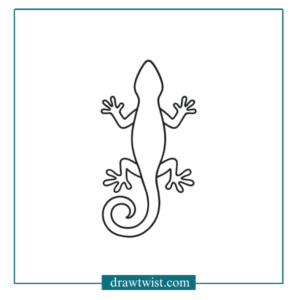 How to Draw a Lizard - Easy Drawing - drawtwist.com