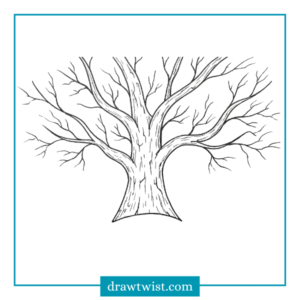 How to Draw Pine Tree and Winter Tree - drawtwist.com